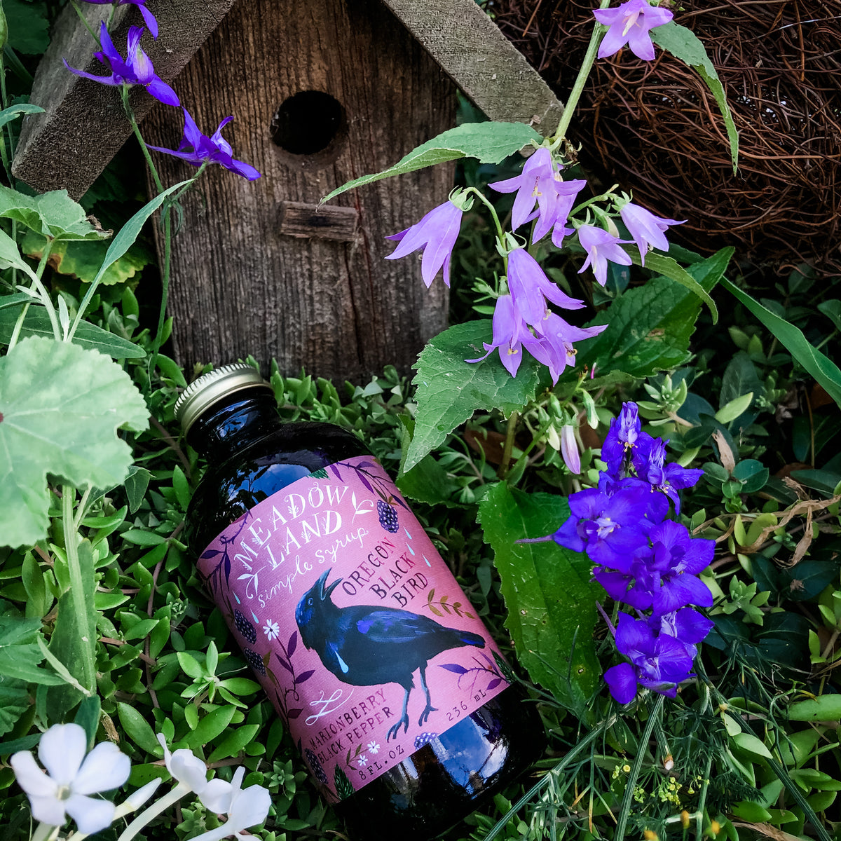 Oregon Black Bird Simple Syrup – Meadowland Syrup