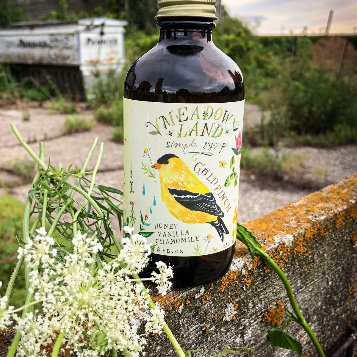 Goldfinch Simple Syrup – Meadowland Syrup